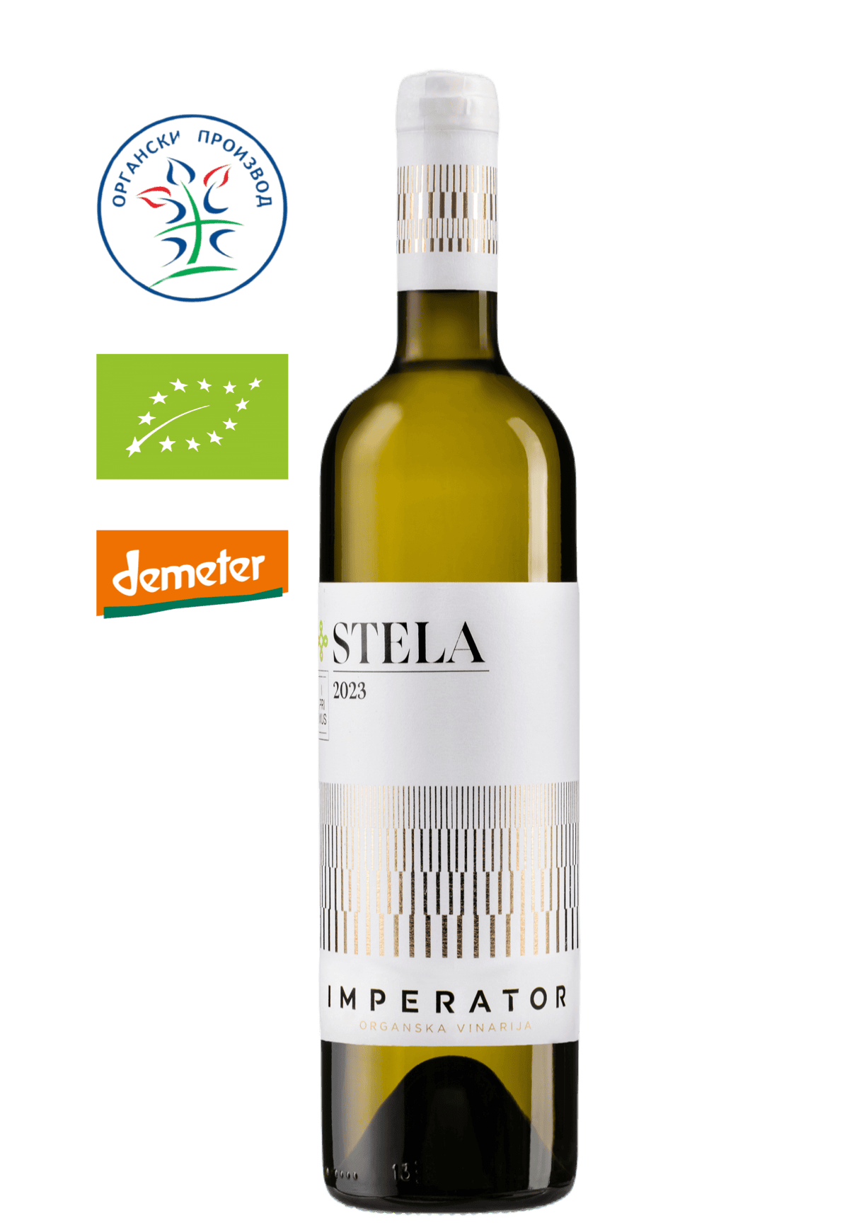 STELA 2024