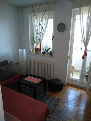 Карађорђева, Stan za izdavanje, 19m2, 190€