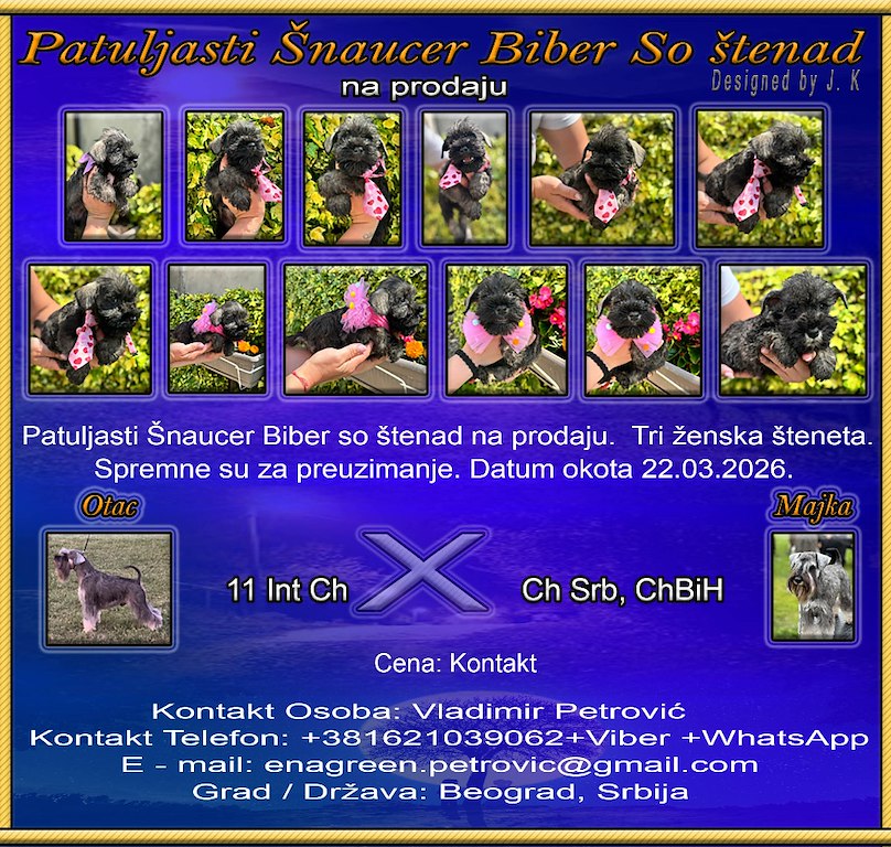 Patuljasti Šnaucer