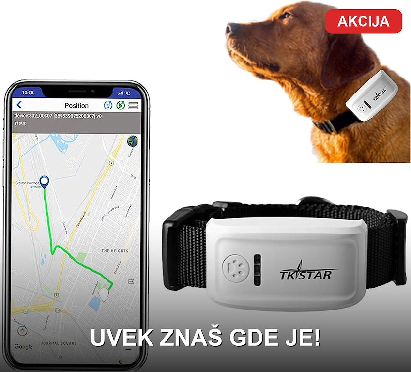 TK Star TK909 GPS traker za pse — GPS ogrlica za lovačke pse i kućne ljubimce