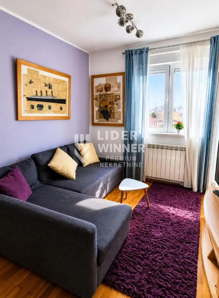 Izdavanje, jednosoban stan, 40m², Vračar Hram, Vračar Sve Podlokacije