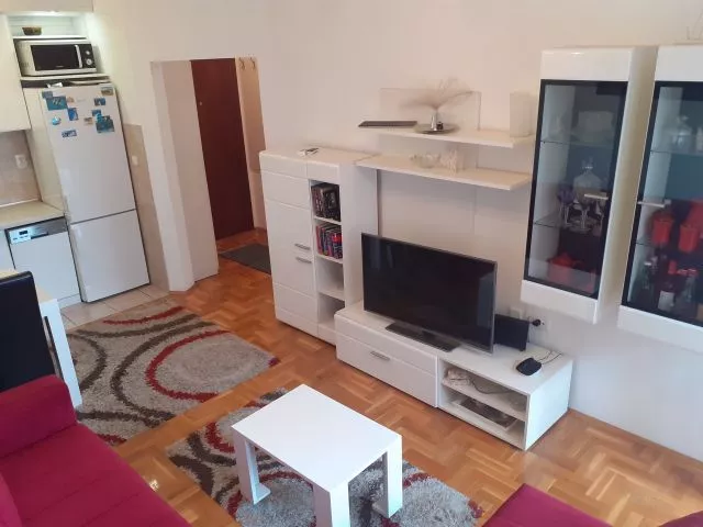 IZDAJEM NOVIJI NAMEŠTEN JEDNOIPOSOBAN STAN NA NOVOJ DETELINARI