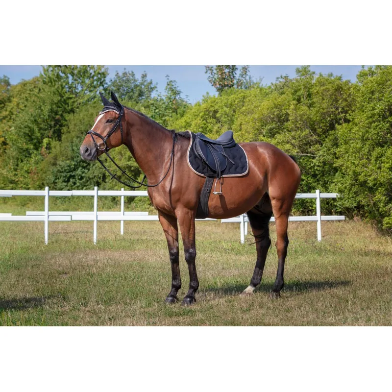 Podsedlica Equitheme