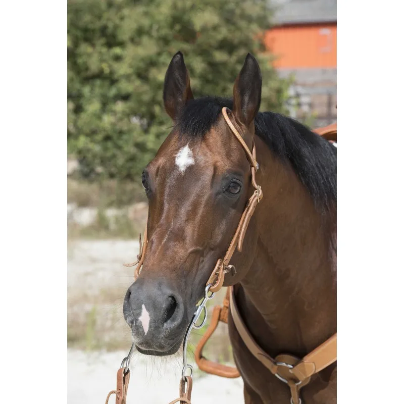 Western uzda One Ear
