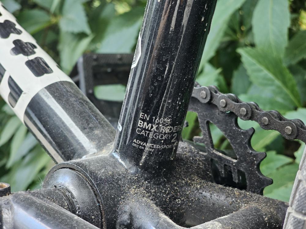 SE BIKES BMX