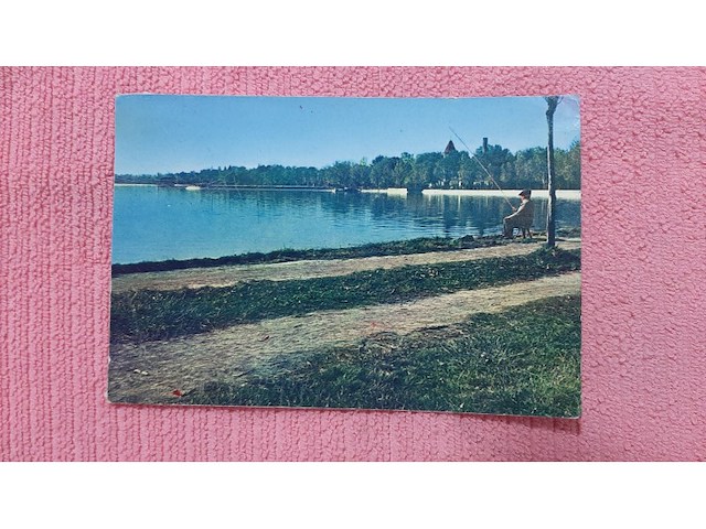 PALIĆ