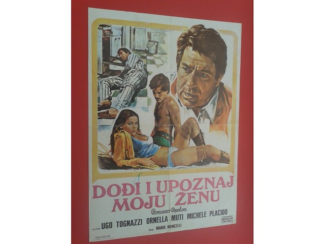 DOĐI I UPOZNAJ MOJU ŽENU - Filmski plakat