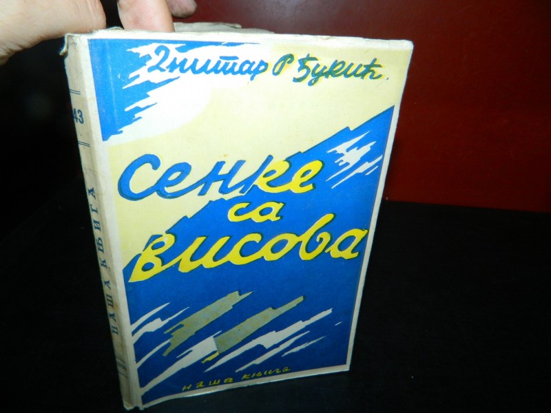 Senke sa visova, Dmitar Đukić