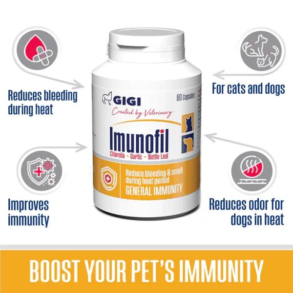 GIGI Imunofil, 60 tableta