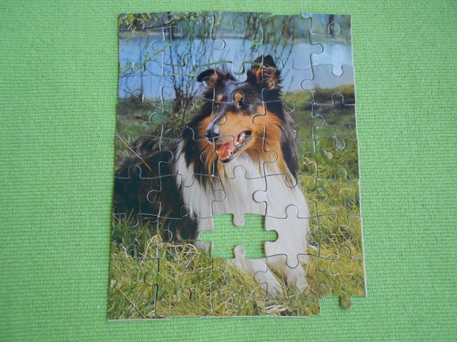 Ex YU puzzle `Pas`