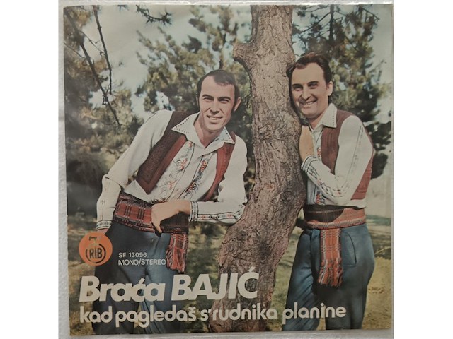 BRACA BAJIC - KAD POGLEDAS S RUDNIKA PLANINE