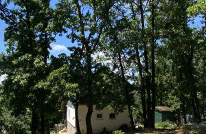 Prodajem Kuću, Kosmaj, Koracica, Beograd Grad