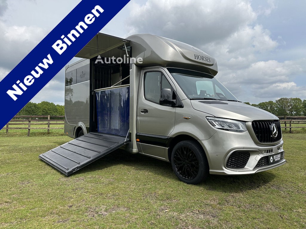 Mercedes-Benz Sprinter 317 AMG XXL 2-paards paardenvrachtwagen vozilo za prevoz konja