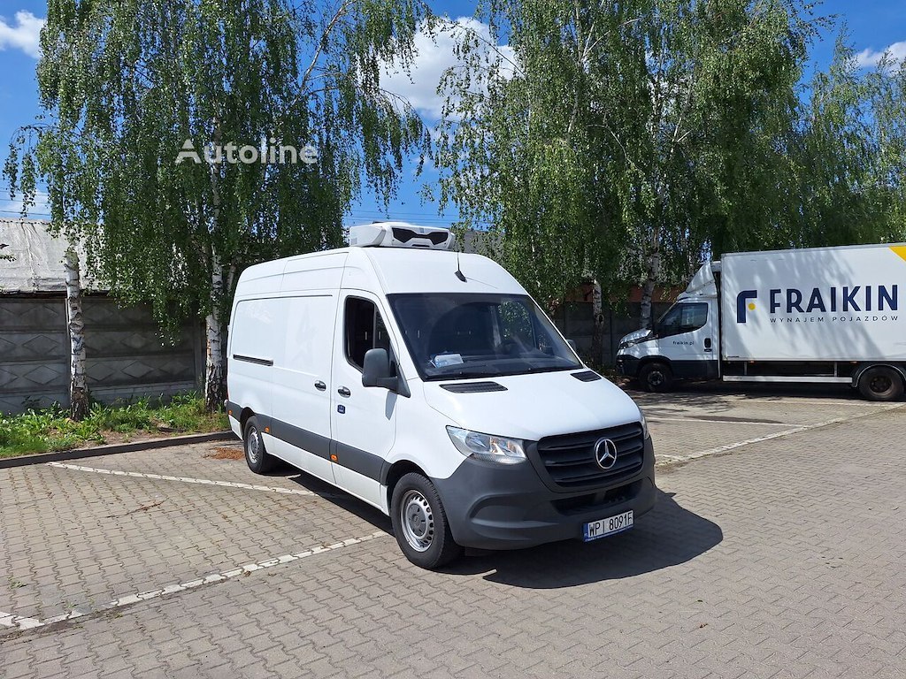 Mercedes-Benz Sprinter 315 minibus hladnjača
