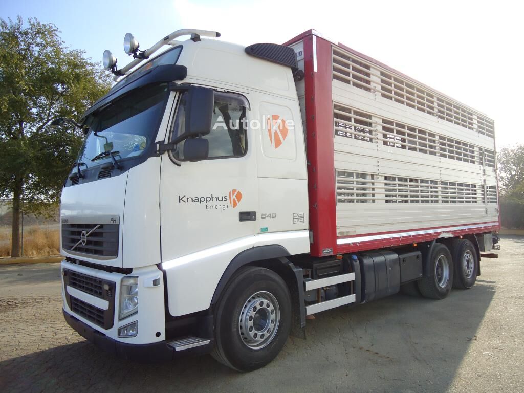 Volvo FH 540 kamion za prevoz stoke