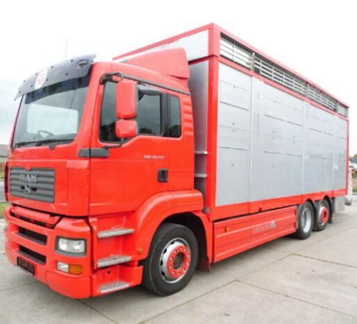 MAN TGA 26 350 kamion za prevoz stoke