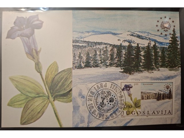 CM Ša 2478 - Planina Kopaonik i kohova lincura