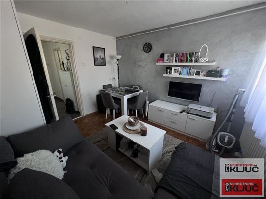 Detelinara, 20m2, Garsonjera, Nameštena, Renoviran