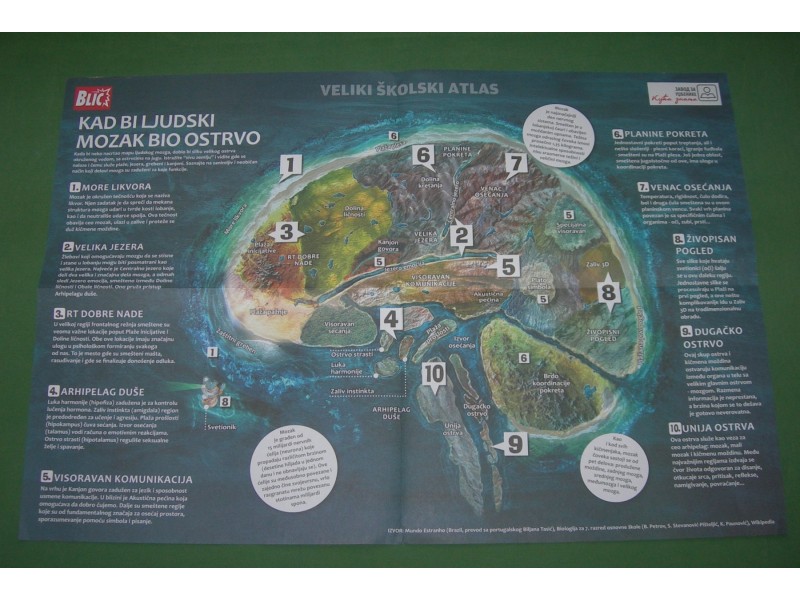 Mapa mozga, Veliki školski atlas, poster