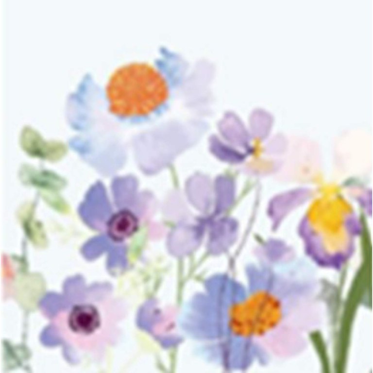 Paloma salvete proleće 1 33x33 20/1 paloma