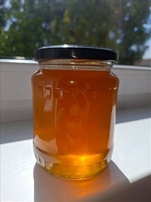 Bagremov domaći med