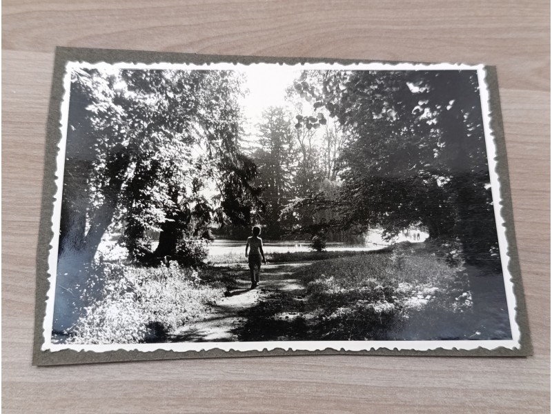 Vintage fotografija šetnja kroz šumu