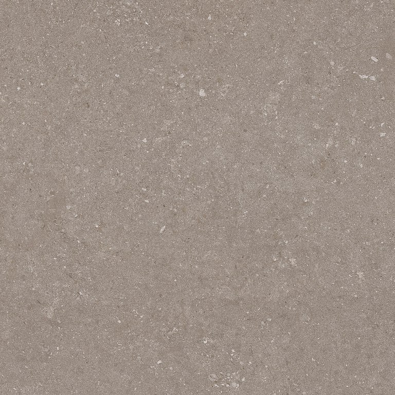 PLOČICE NATURAL TAUPE WT/FT 60X60