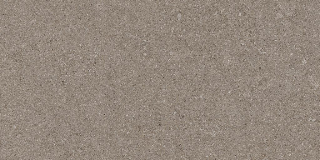 PLOČICE NATURAL TAUPE WT/FT 30X60