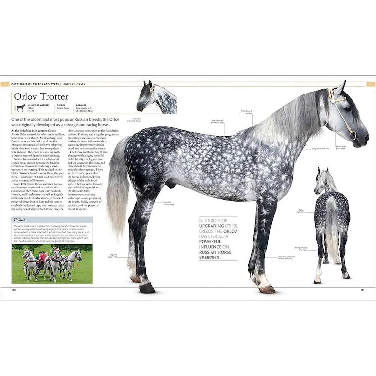 THE HORSE ENCYCLOPEDIA