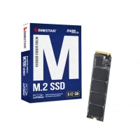512GB Biostar M760