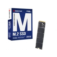 256GB Biostar M760
