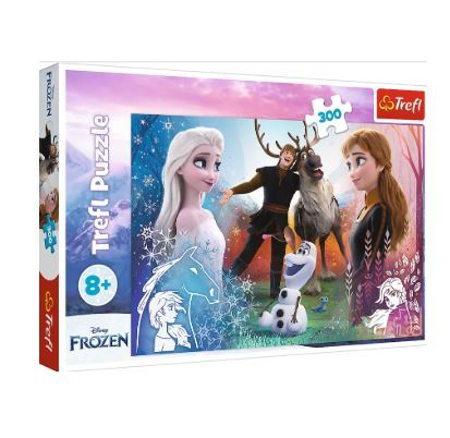 TREF LINE Puzzle 300 Frozen T30062ID: EK000860112