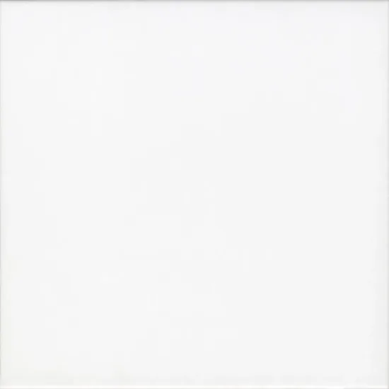 PLAKA WHITE PORC 20×20
