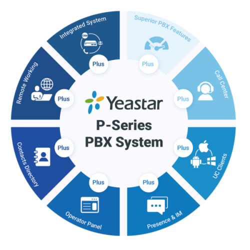 Yeastar P-SE-UP-Annual-Initial 50