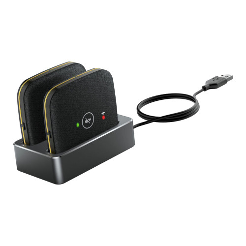 CPW65-DECT-Duo