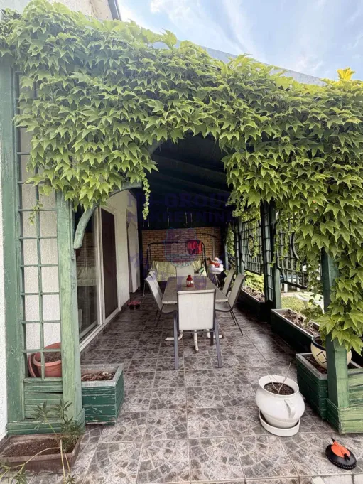 Centar, Temerin
