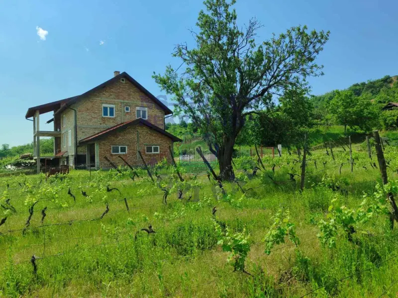 Izlaz iz Karlovaca, Sremski Karlovci