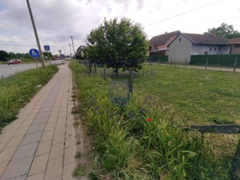 Adice, Novi Sad