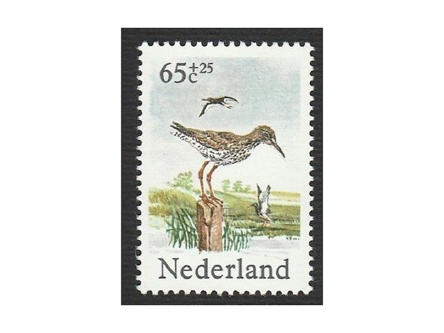 Holandija 1984