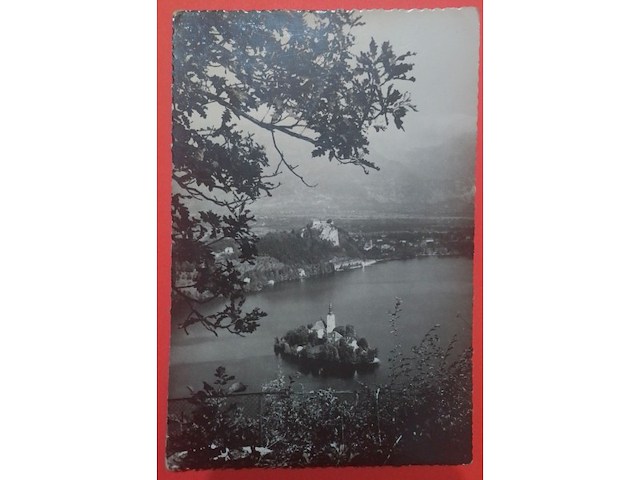 BLED - RAZGLEDNICA (čista)