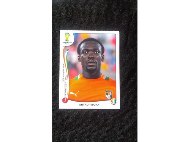 Panini FIFA 2014 Brazil sličica broj 228