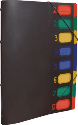 PP organizer Rainbow class Viquel