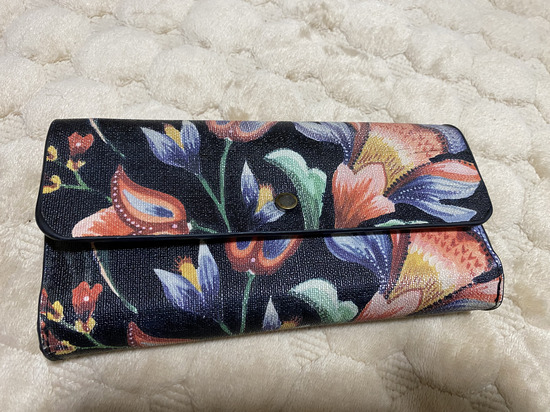 Desigual novcanik