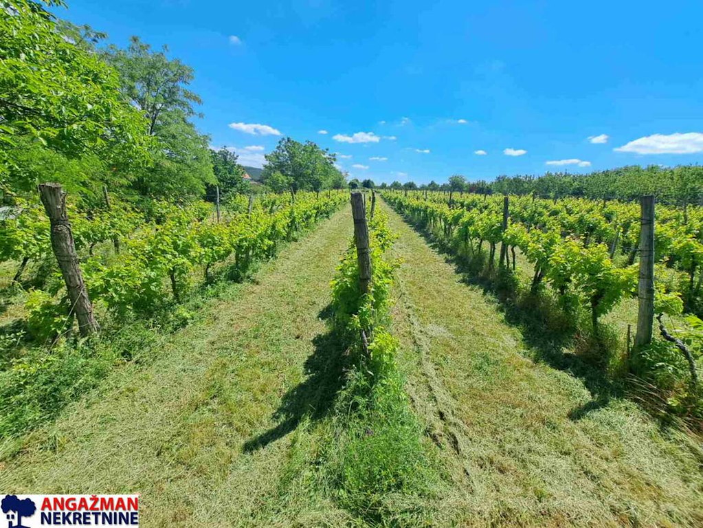 Plac, Topola – Mitrovčić | Prodaja · 5200m² · 39.000€