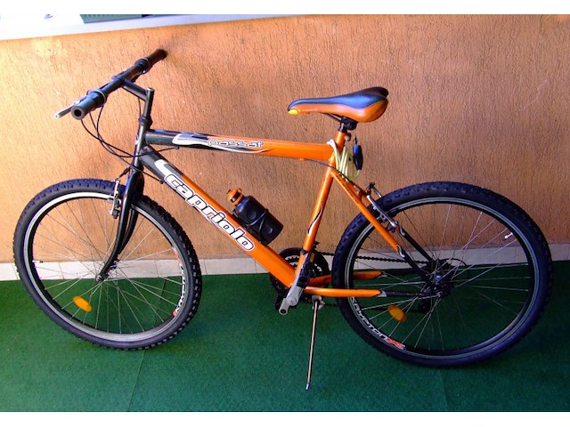 Bicikl CAPRIOLO PASSAT Muški 26`