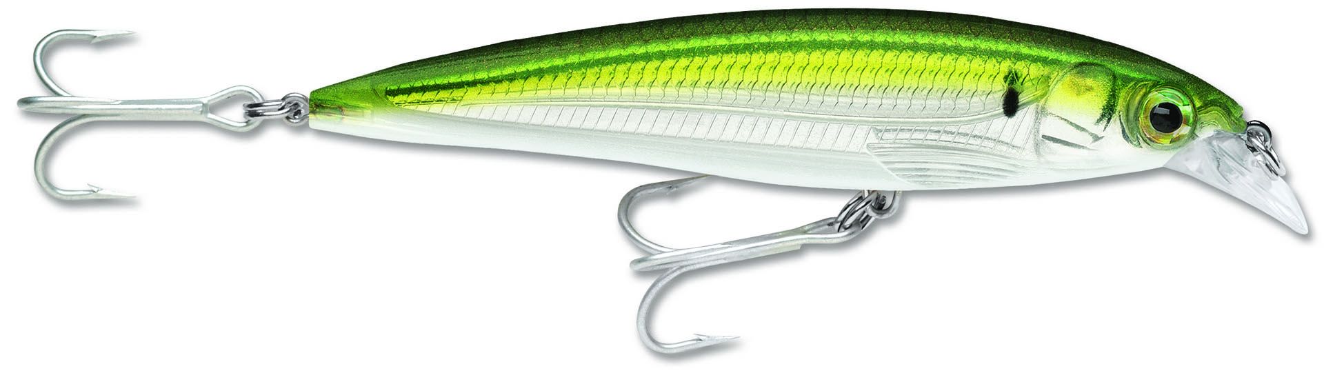 RAPALA X-RAP® SALTWATER SXR10 PLD