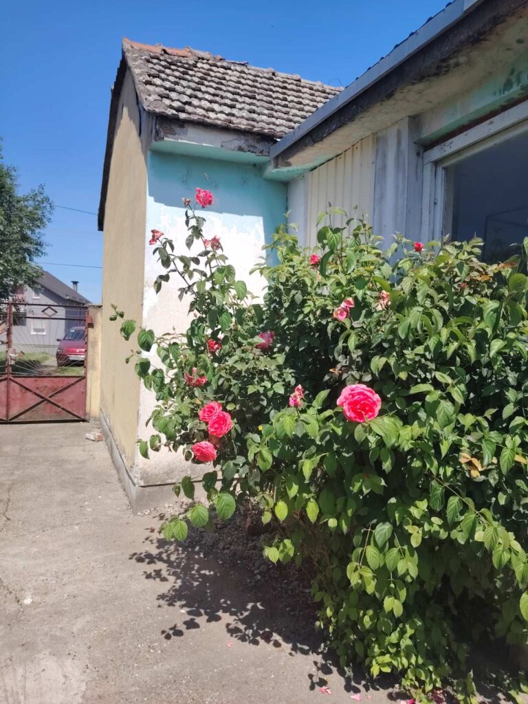 Dobra prilika, kuća u Šidu
