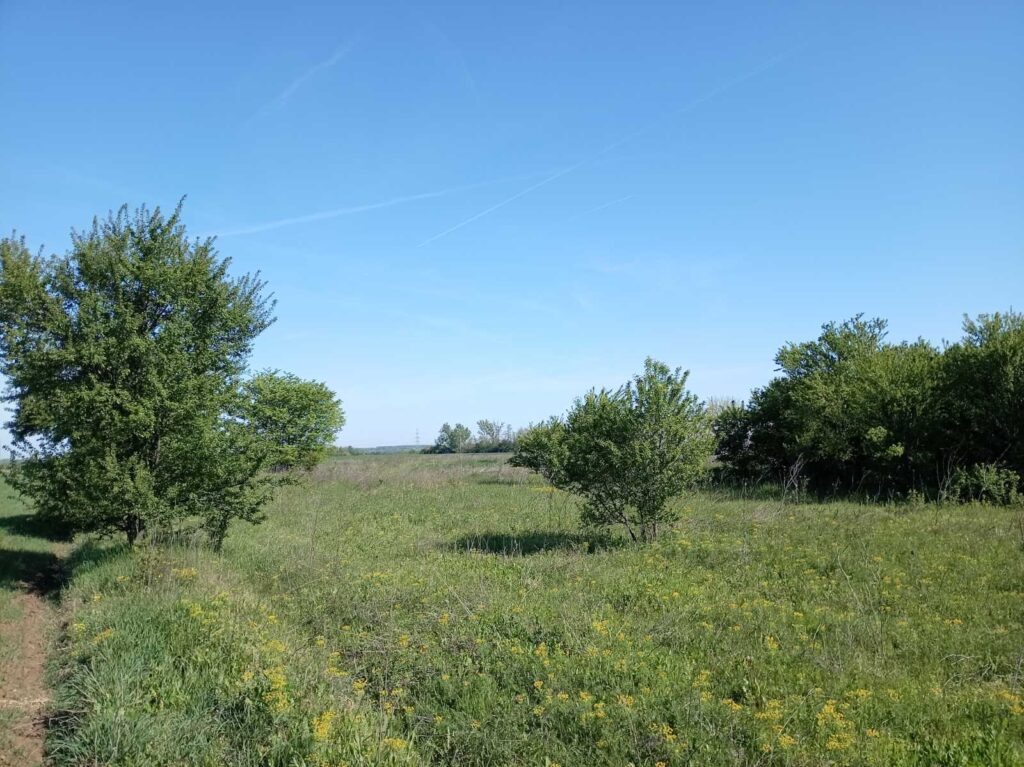 Plac 23 ara, Ratari, Obrenovac, 12.600 €