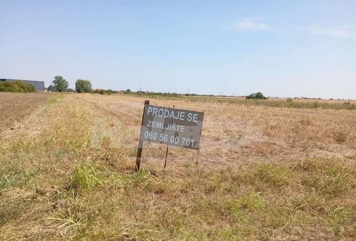 Dobanovci-gradjevinsko zemljiste 103 ara