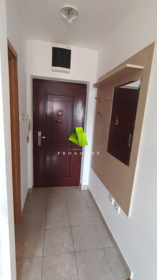 PET FRIENDLY garsonjera kod Filozofskog fakulteta ID#8217